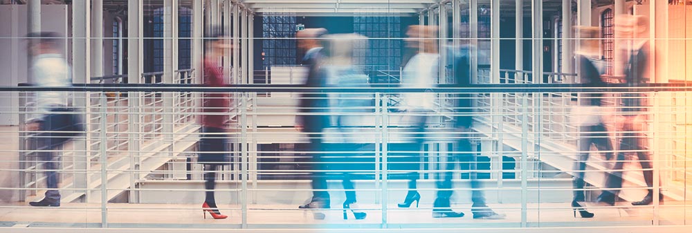 Our Expert Labor Law Attorneys in New York | Levy Ratner